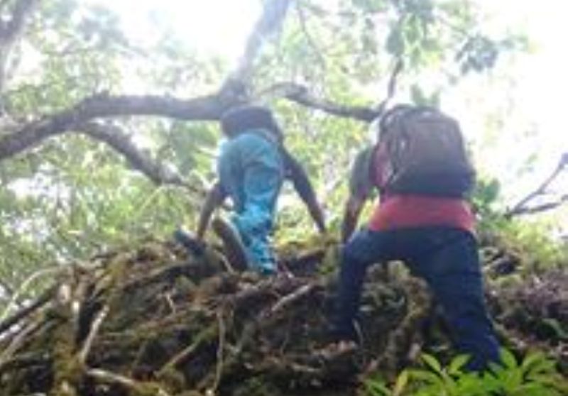 11 Pendaki Berhasil Taklukan Puncak Jaran Pusang - Samawa Rea