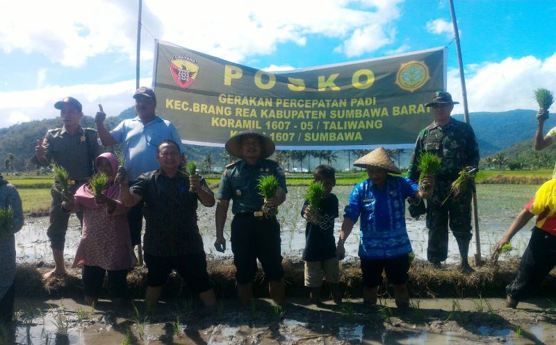 Inilah Langkah Cerdas Poktan Orong Monar I KSB - Samawa Rea