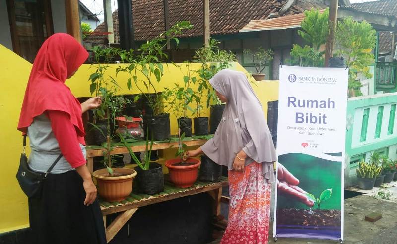 Kembangkan Rumah Bibit, Rumah Zakat Sulap Desa Jorok Jadi Desa Hijau ...