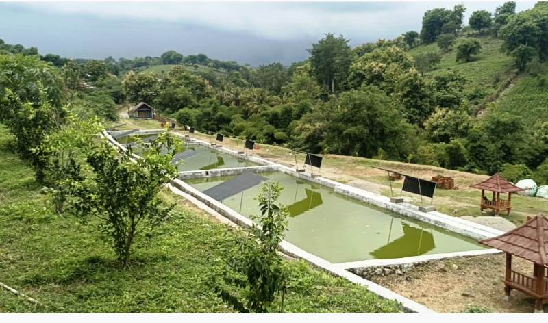 Hari ini, Ratusan Orang Kunjungi Ai Poleng, Berwisata Sambil Bermain ...