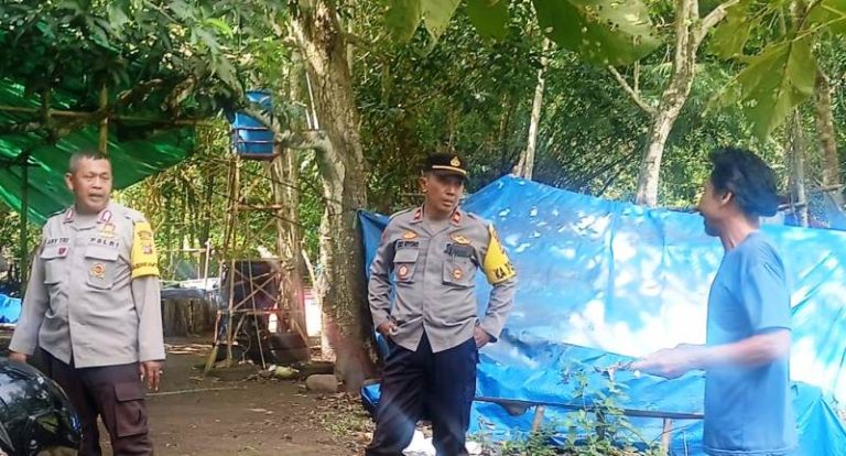 Tak Kapok Digrebeg, Gelanggang Sabung Ayam di Dusun Sering Kembali ...