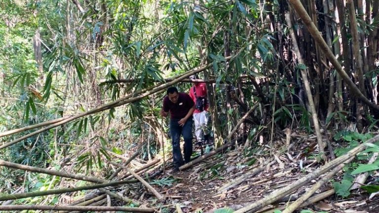 Tembus Rarak Rongis-Matemega, Gubernur Jelajah Hutan Hingga Tidur di ...