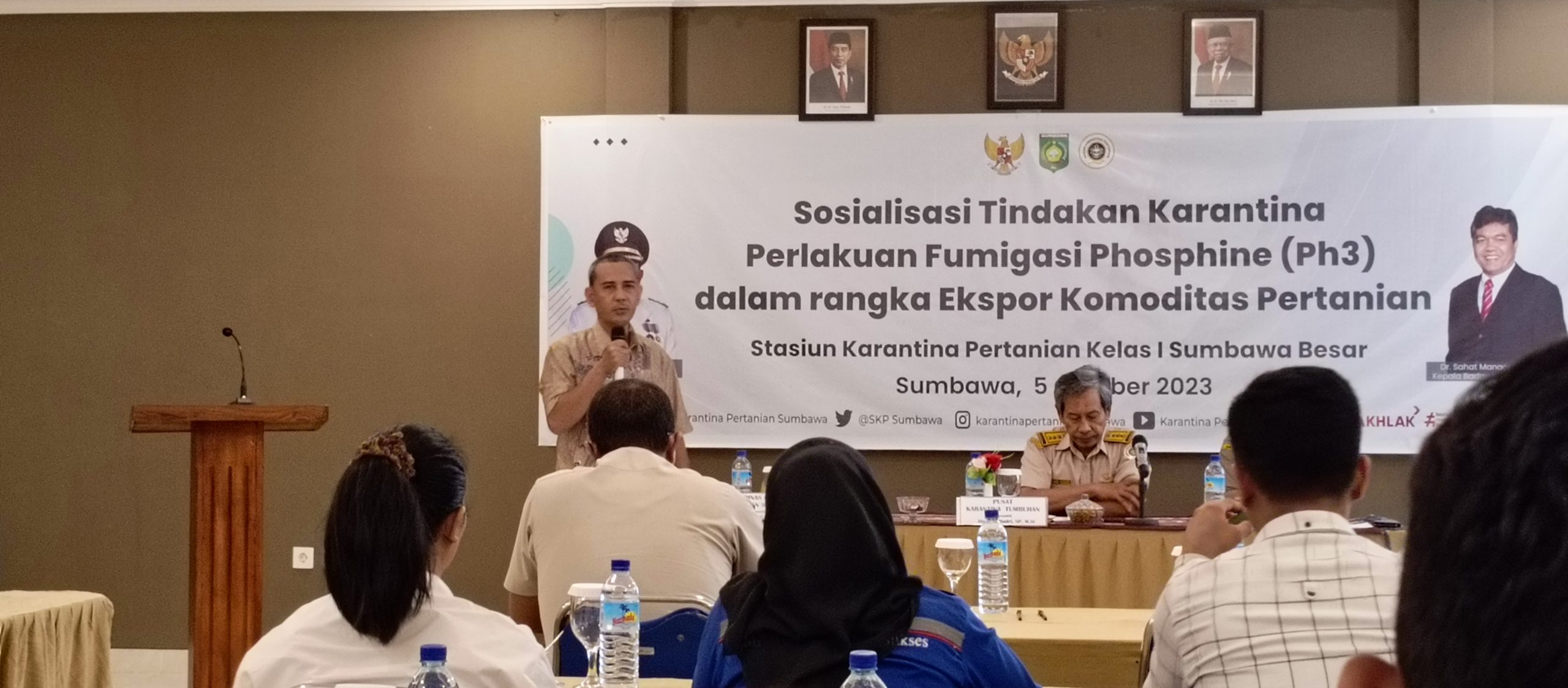 Produksi Jagung di Sumbawa Meningkat, Puncak Panen Harga Fluktuatif ...