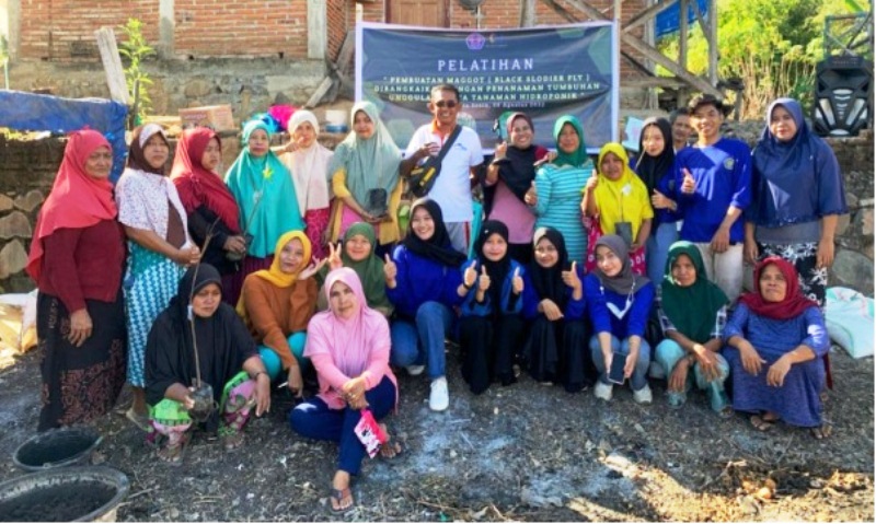 Atasi Kebutuhan Pakan Unggas, KKL UNSA Latih Warga Lamenta Buat Maggot - Samawa Rea